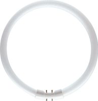 Philips MASTER LED TL5 Circular 60W/840 1CT fluorescente ...